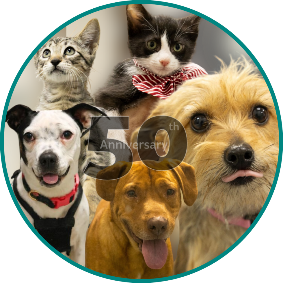Donate - Humane Society of North Central Florida