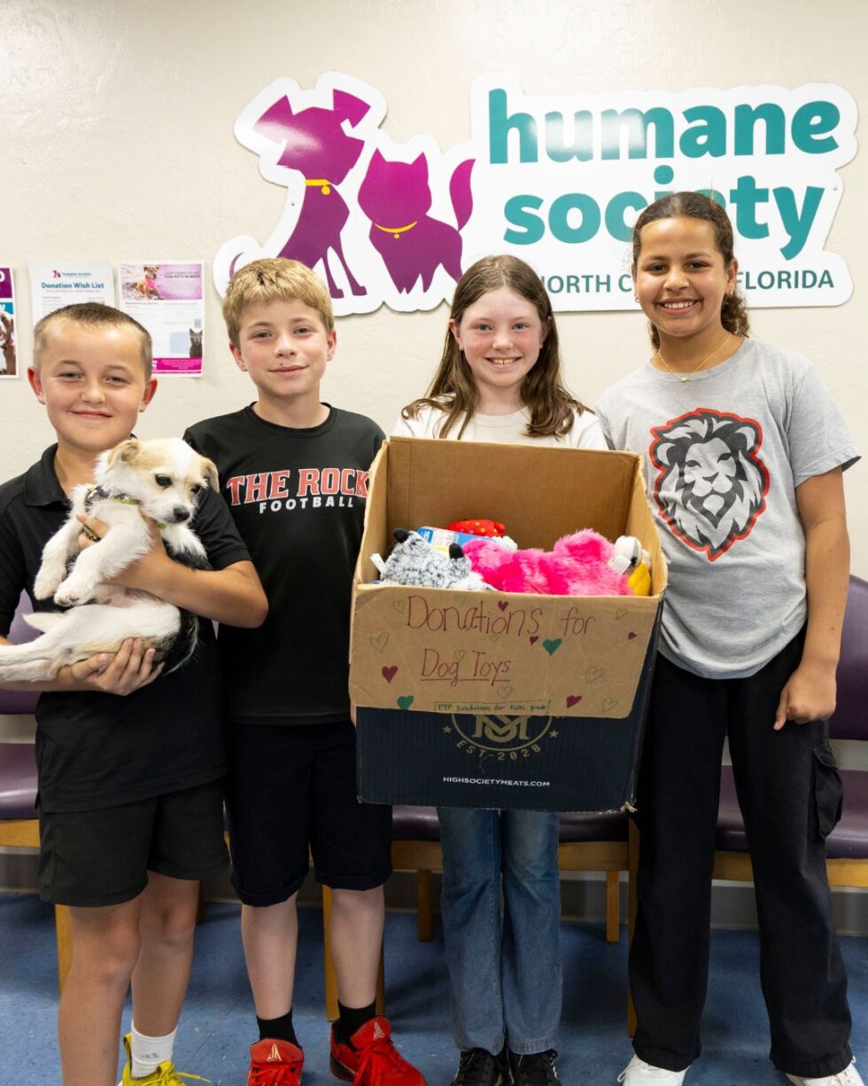 Group Volunteers - Humane Society of North Central Florida